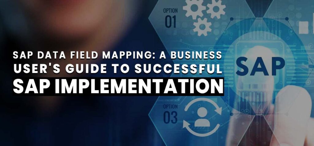 A Business User's Guide to Successful SAP Implementation - DME
